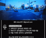분노조절 잘하는 K5.gif - 인스티즈(instiz) 이슈 카테고리
