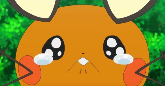 포켓몬스터 xy&z의 감초 '데덴네' - 인스티즈(instiz) 인티포털