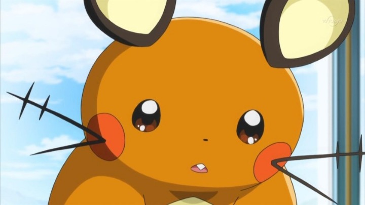 포켓몬스터 xy&z의 감초 '데덴네' - 인스티즈(instiz) 인티포털