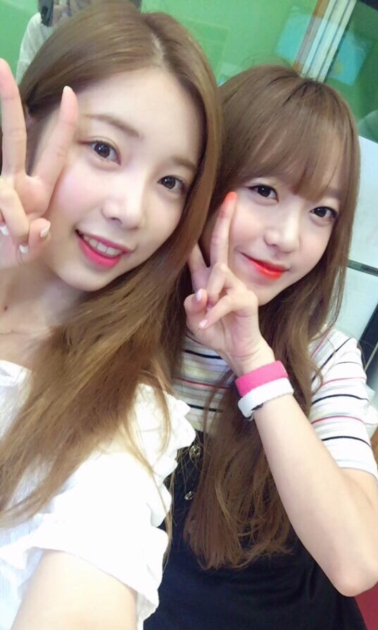 dsp에서 일처리 다하고있는 I.B.I .jpg - 인스티즈(instiz) 이슈 카테고리