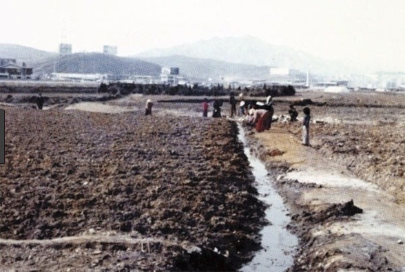 1970~80년대 서울 강남 사진.jpg - 인스티즈(instiz) 이슈 카테고리