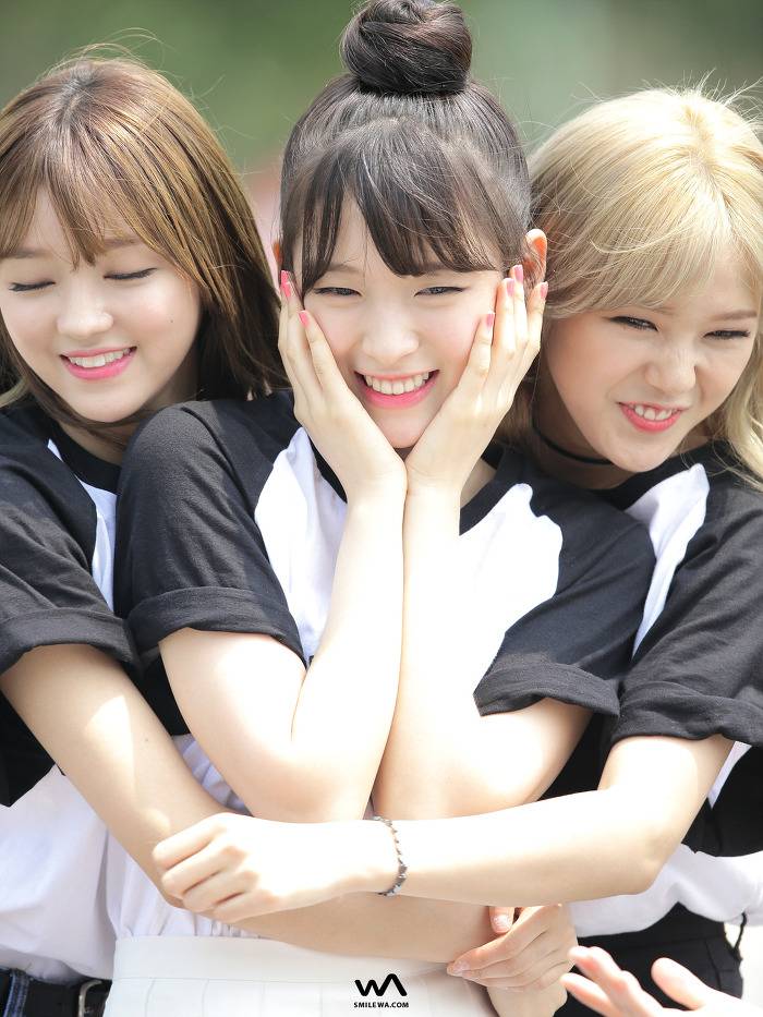 OMG 아린 - 인스티즈(instiz) 이슈 카테고리