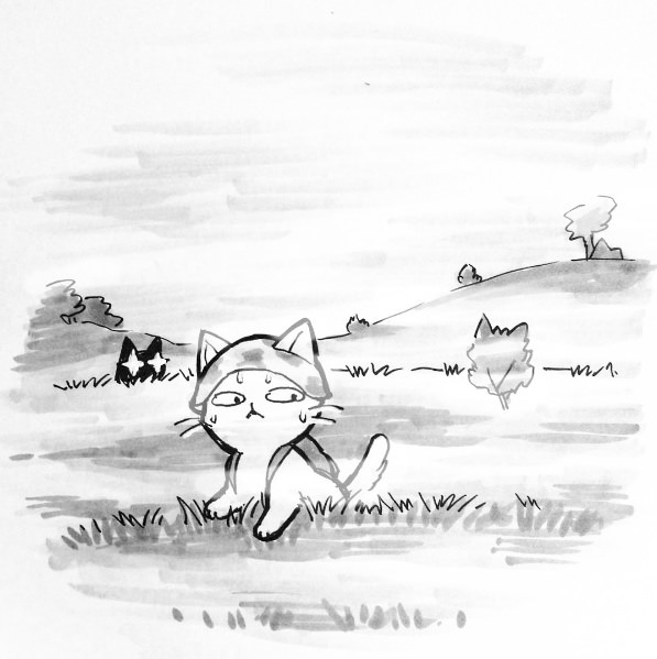 냥이 x 배그 콜라보 모음 (심쿵주의) - 인스티즈(instiz) 이슈 카테고리