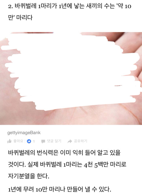 지구온난화로 늘어난 바퀴벌레 에 얽힌 소름돋는 진실 7가지 인스티즈 instiz 인티포털 카테고리