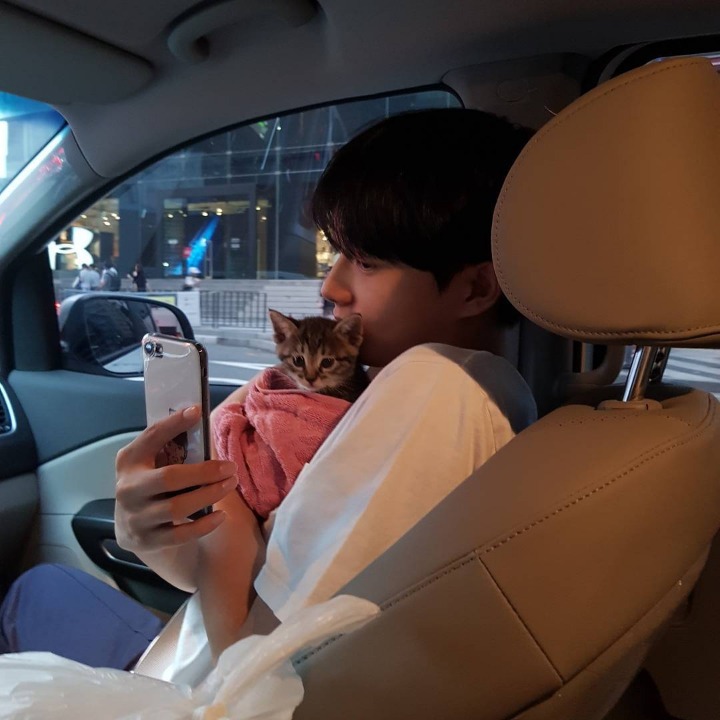 JBJ 김용국이 키우는 고양이 톨비 르시 - 인스티즈(instiz) 이슈 카테고리