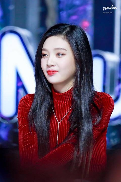 2018년 첫 조이 - 인스티즈(instiz) 이슈 카테고리