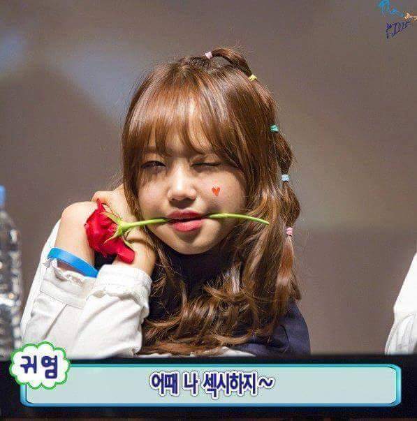 아이오아이 최유정 vs 김세정 섹시대결 - 인스티즈(instiz) 이슈 카테고리