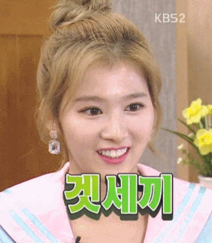 트와이스 멤버and정연 짤 인스티즈 Instiz 이슈 카테고리