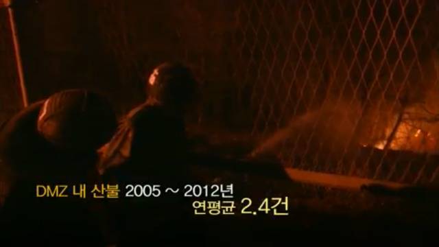 60년간 사람의 발길이 닿지 않은 천혜의 생태계 DMZ? 과연 그 이면에는? - 인스티즈(instiz) 이슈 카테고리