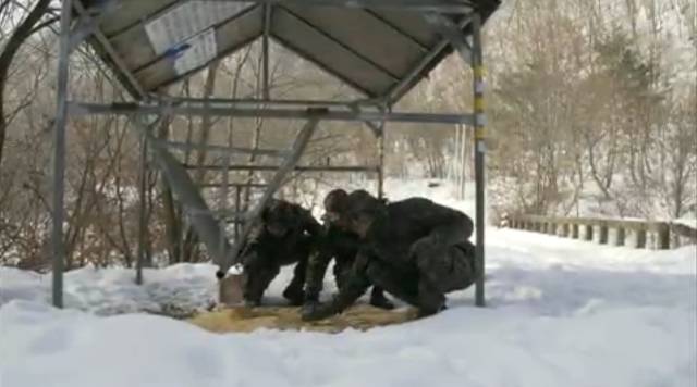 60년간 사람의 발길이 닿지 않은 천혜의 생태계 DMZ? 과연 그 이면에는? - 인스티즈(instiz) 이슈 카테고리