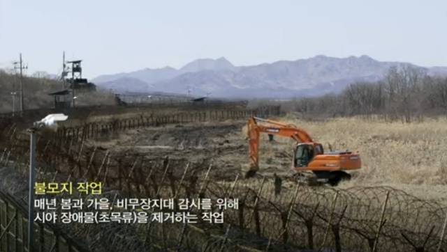 60년간 사람의 발길이 닿지 않은 천혜의 생태계 DMZ? 과연 그 이면에는? - 인스티즈(instiz) 이슈 카테고리