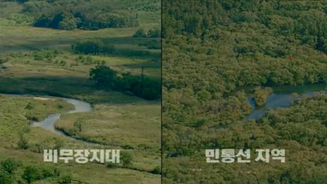 60년간 사람의 발길이 닿지 않은 천혜의 생태계 DMZ? 과연 그 이면에는? - 인스티즈(instiz) 이슈 카테고리