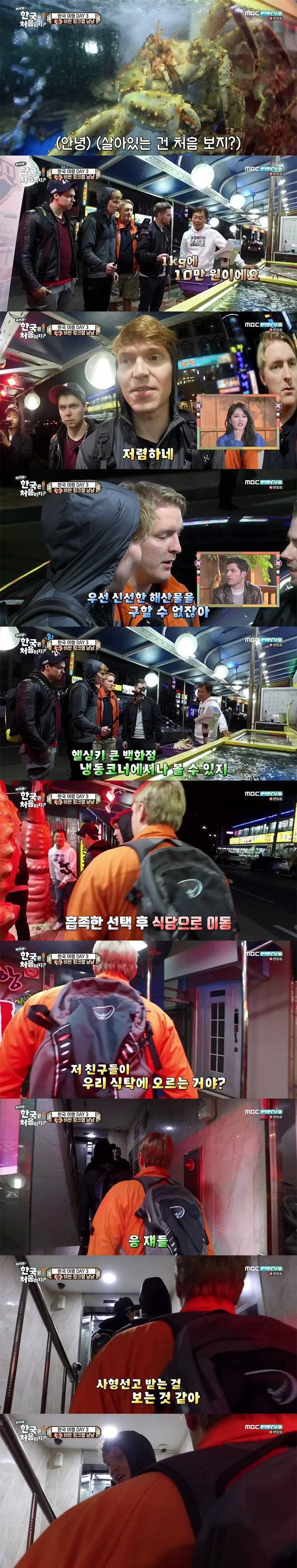 핀란드 친구들이 킹크랩을 대하는 자세 - 인스티즈(instiz) 이슈 카테고리