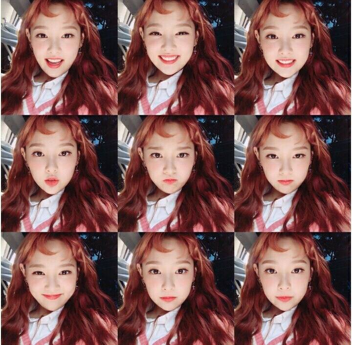 오늘자 소나무 뉴썬 SNS - 인스티즈(instiz) 이슈 카테고리