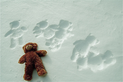 내가 새라면 너에게 하늘을 줄게 BGM - 인스티즈(instiz) 이슈 카테고리