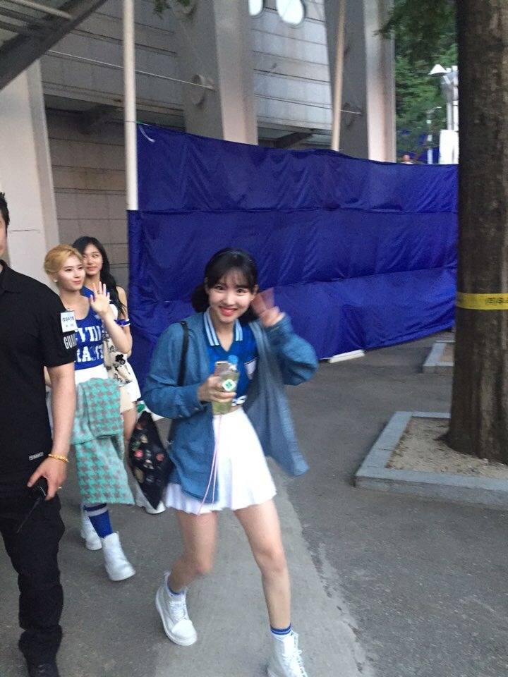 임나연.gif+jyp (데이터주의) - 인스티즈(instiz) 이슈 카테고리