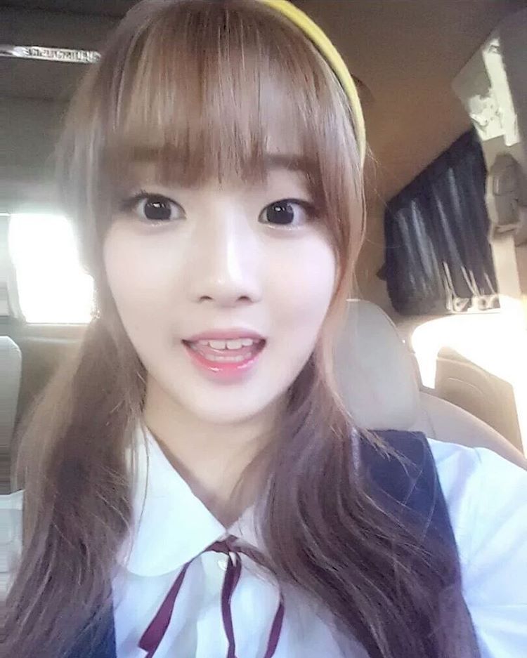 짹틀러 짹짹갓 (프로듀스101) - 인스티즈(instiz) 이슈 카테고리