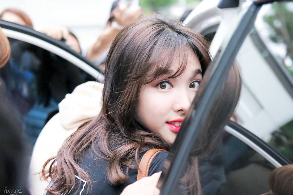 오늘 생일인 토끼상 상큼이 여아이돌 나연 인스티즈 Instiz 이슈 카테고리