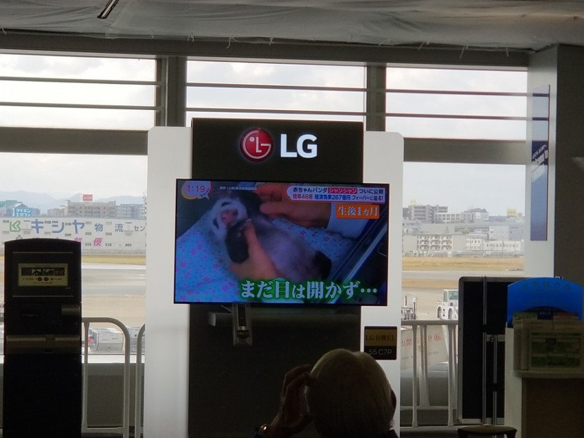 열일하는 LG - 인스티즈(instiz) 이슈 카테고리