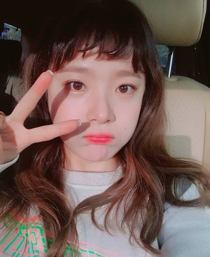 한국vs일본 이상형대결 - 인스티즈(instiz) 이슈 카테고리