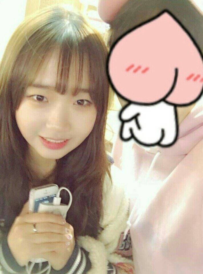 여러분의 롤티어는?? +프로듀스 101 이쁜애들 사진 - 인스티즈(instiz) 이슈 카테고리