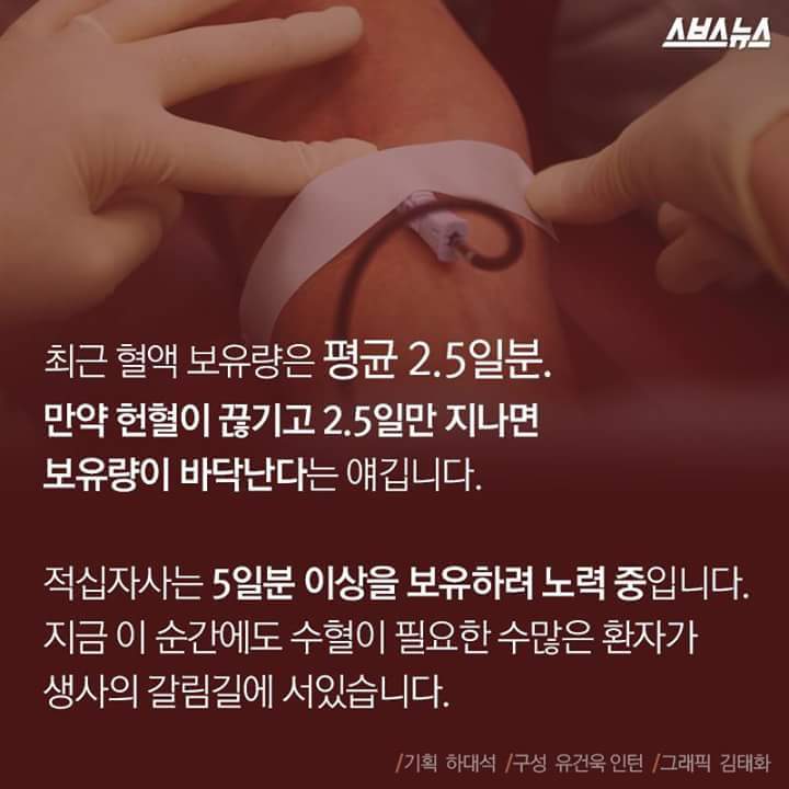 최근 퍼졌던 헌혈괴담의 진실 사스가 블루일베 인스티즈 instiz 이슈 카테고리