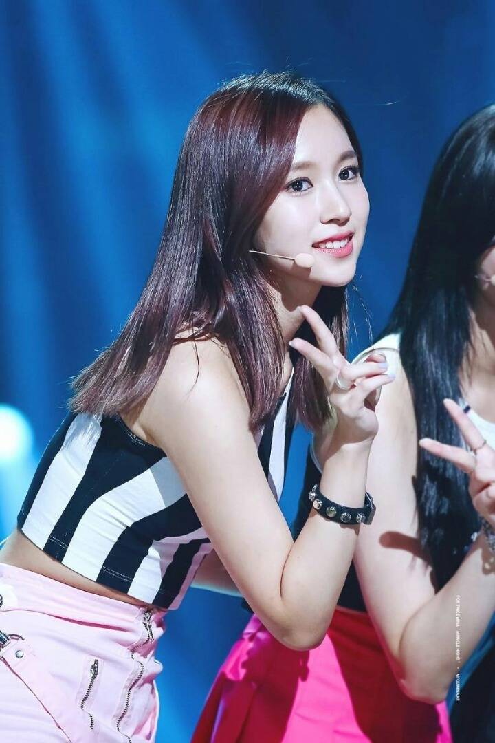 묘이 미나 - 인스티즈(instiz) 이슈 카테고리