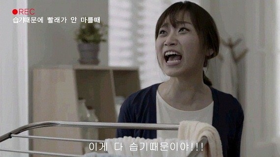 내가 여름을 사랑할 수 없는 8가지 이유 인스티즈 Instiz 이슈 카테고리