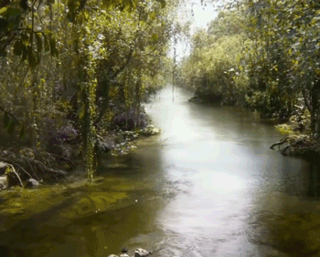 실사와 구분안가는 디즈니 CG수준.gif - 인스티즈(instiz) 이슈 카테고리