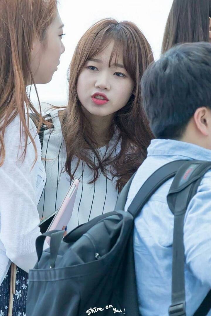 자기전에 올리능 유정이 (ioi) - 인스티즈(instiz) 이슈 카테고리