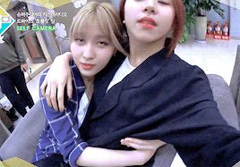 바보 모모와 아기 맹수 채영이 심쿵 움짤... (feat. AOA - 심쿵해) - 인스티즈(instiz) 이슈 카테고리