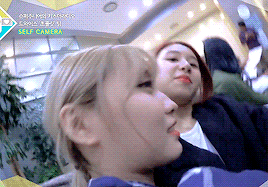 바보 모모와 아기 맹수 채영이 심쿵 움짤... (feat. AOA - 심쿵해) - 인스티즈(instiz) 이슈 카테고리