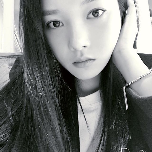 DSP에서 새로 나오는 신인 혼성그룹 - 인스티즈(instiz) 이슈 카테고리