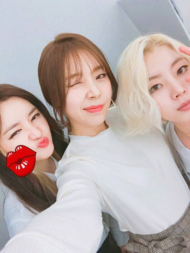 레이디스코드 the rain 활동 기사,sns 짤들 - 인스티즈(instiz) 이슈 카테고리