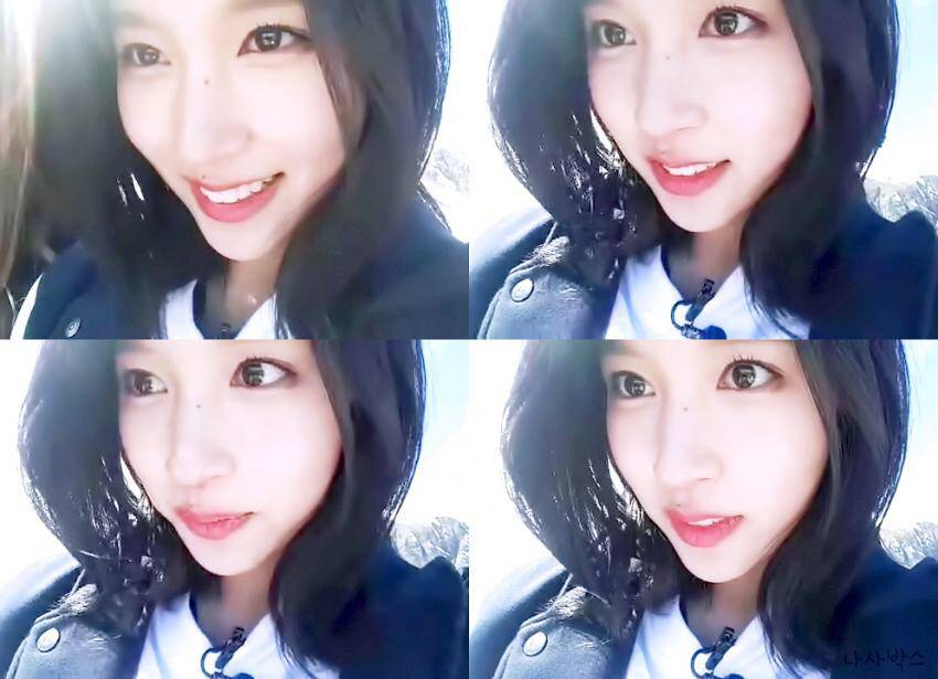 묘이 미나 스위스 - 인스티즈(instiz) 이슈 카테고리