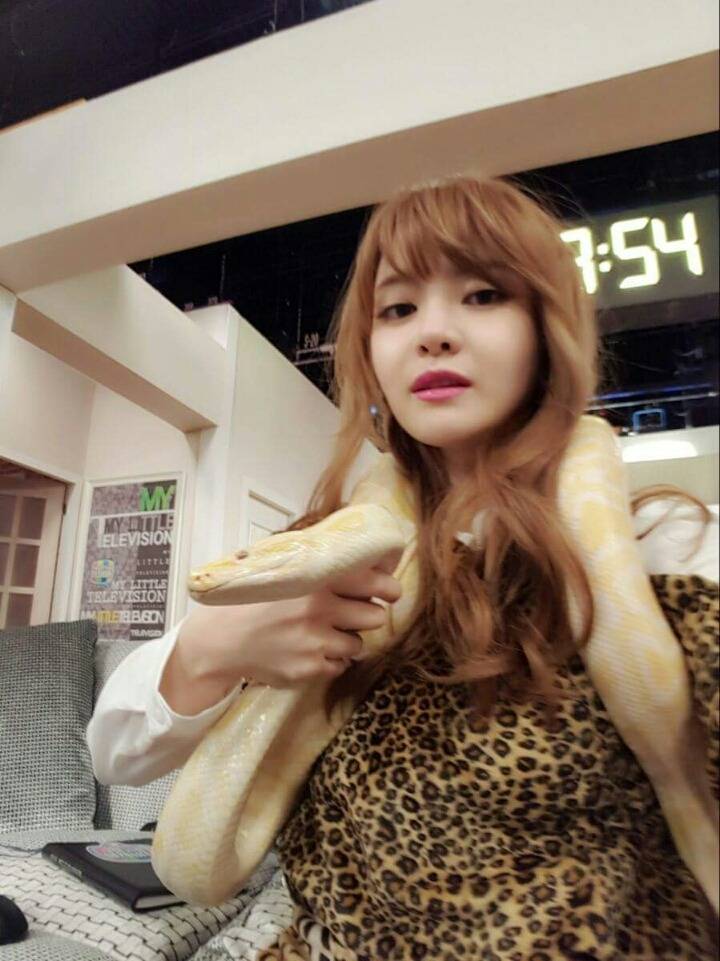 뱀이다 뱀이다 서유리 - 인스티즈(instiz) 이슈 카테고리