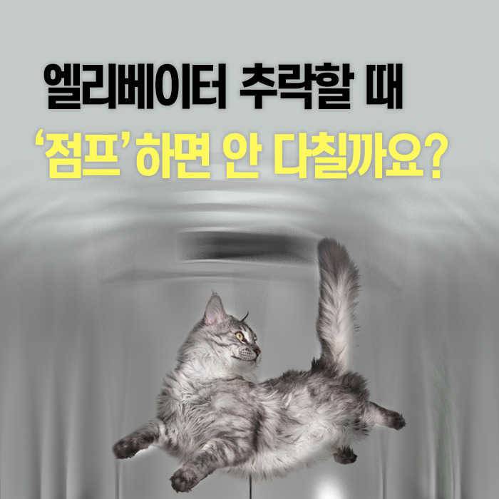 엘리베이터에서 추락할때.alaboza - 인스티즈(instiz) 이슈 카테고리