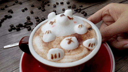따뜻한 라떼 한 잔! 3D동물 아트라떼 gifjpg - 인스티즈(instiz) 이슈 카테고리