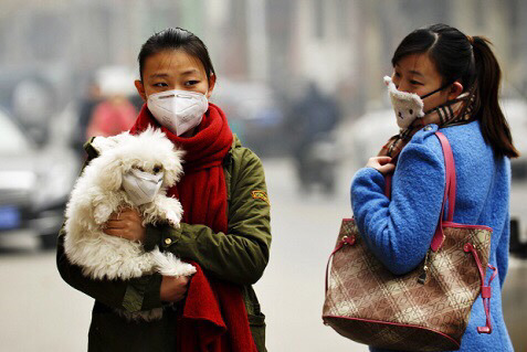 미세먼지 위험성 한번에 이해하기(미세먼지 1시간노출=OOO) - 인스티즈(instiz) 이슈 카테고리