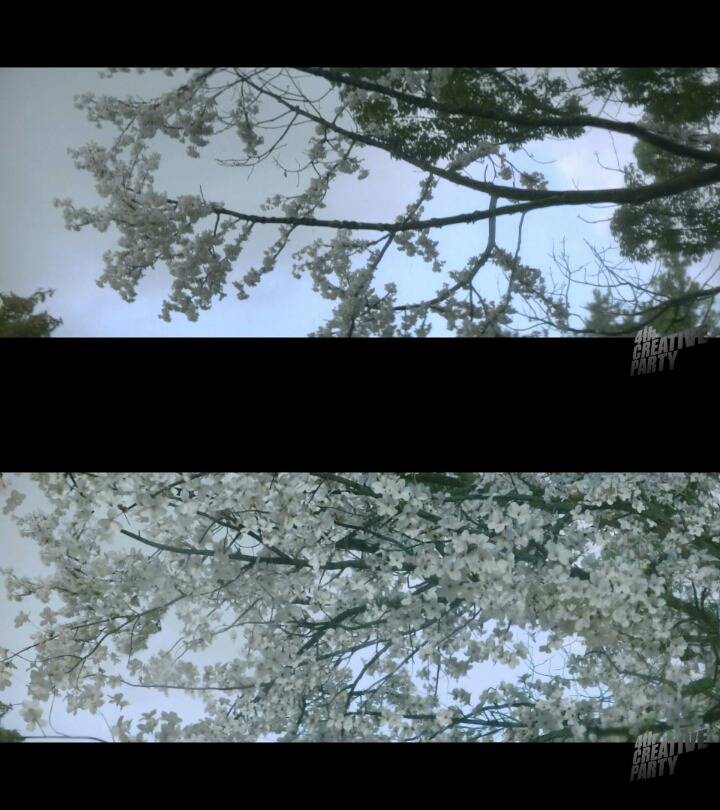 영화 아가씨 CG작업 전후 - 인스티즈(instiz) 이슈 카테고리