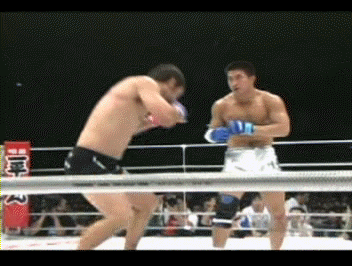 MMA 역사상 최강의 핵펀치 - 인스티즈(instiz) 이슈 카테고리