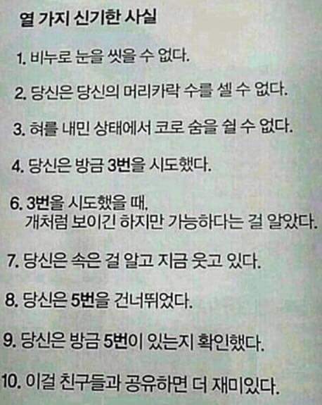 10가지 신비한 사실 인스티즈 Instiz 이슈 카테고리