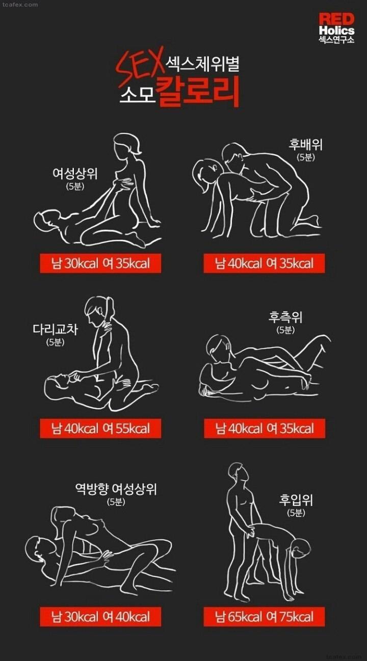 섹스체위별 소모칼로리 15 인스티즈 Instiz 이슈 카테고리