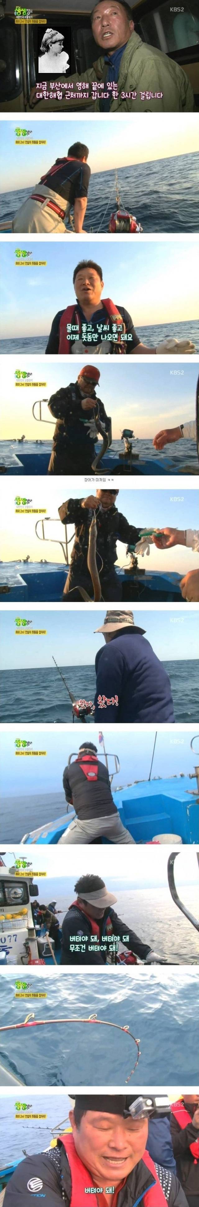 한마리 500만원짜리 낚시 인스티즈 Instiz 이슈 카테고리