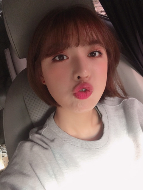 오늘 자 헬로비너스 SNS - 인스티즈(instiz) 이슈 카테고리