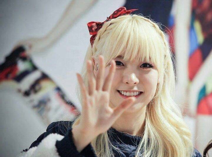 이상한 나라의 앨리스 인스티즈 Instiz 인티포털 카테고리