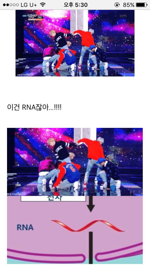 방탄소년단 DNA 가사가 신경쓰이는 이과생들의 외침 모음.jpg - 인스티즈(instiz) 이슈 카테고리