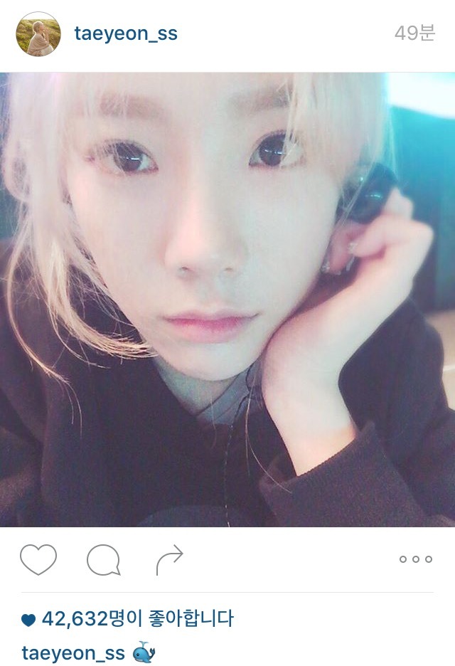 탱스타 - 인스티즈(instiz) 이슈 카테고리