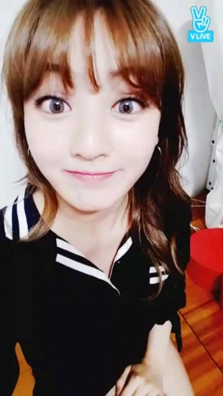 트와이스 오늘자 브이앱 - 인스티즈(instiz) 이슈 카테고리