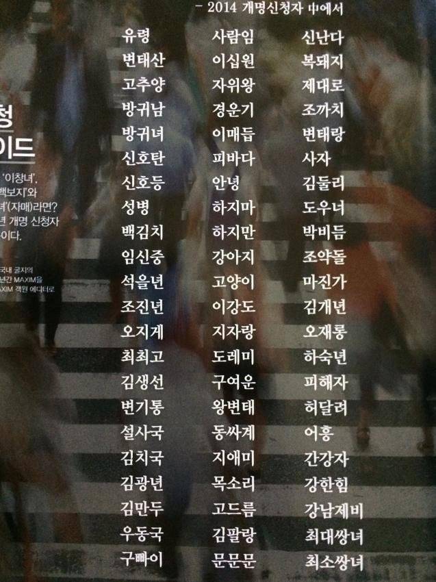 2014년 개명신청자 인스티즈 instiz 이슈 카테고리